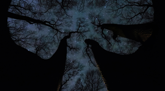 Varázslatos Magyarország | Magyar Nemzeti Múzeum